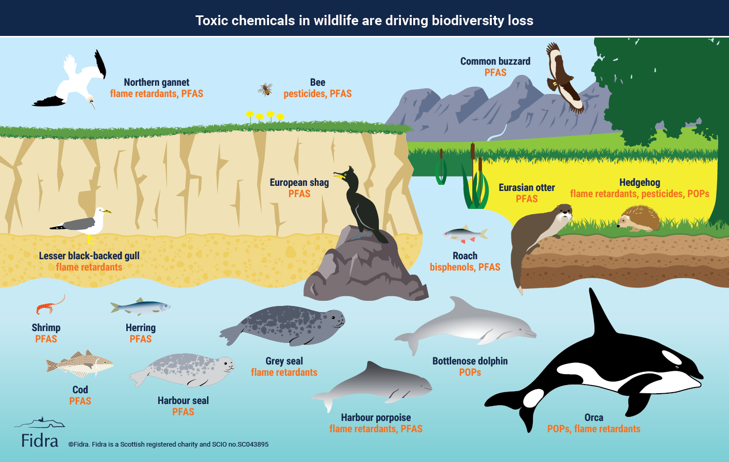 Chemical Pollution - Wildlife - Fidra