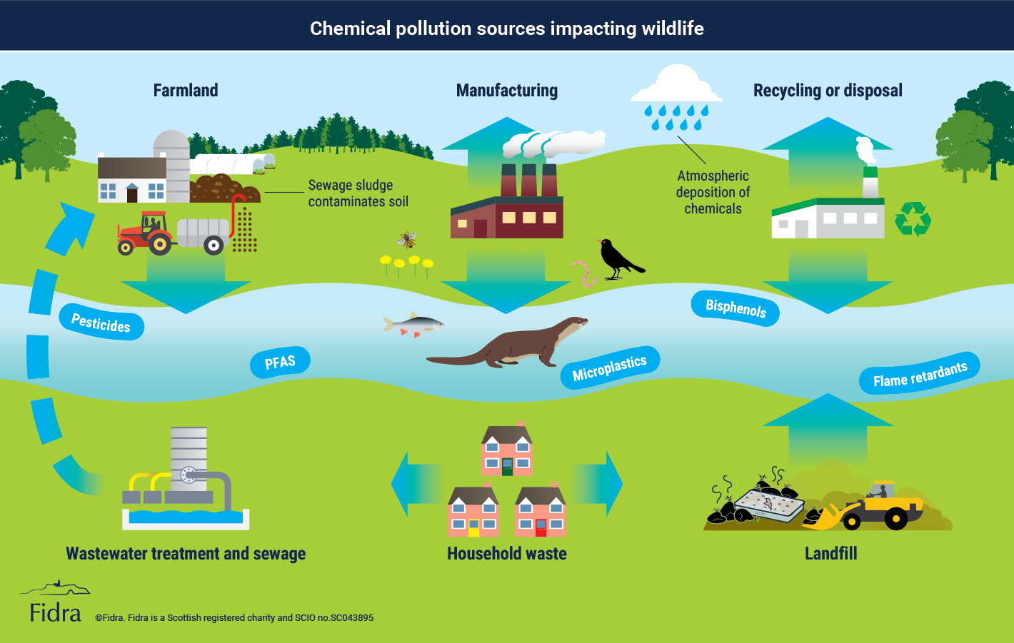 Chemical Pollution - Wildlife - Fidra